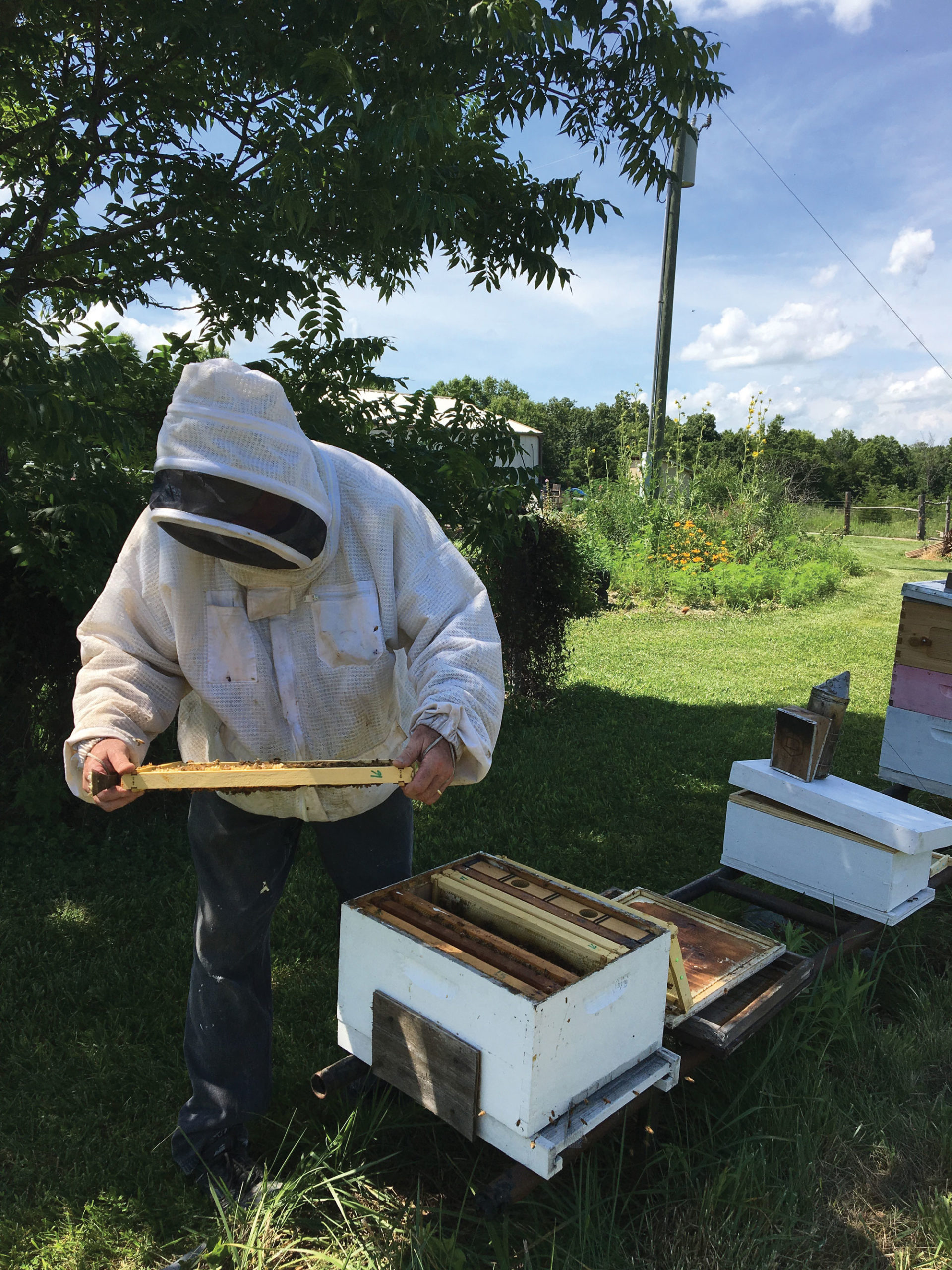 Agriculture's Unsung Hero - MFA Oil